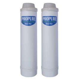Replacement Pre & Post Carbon Filters (one pair)